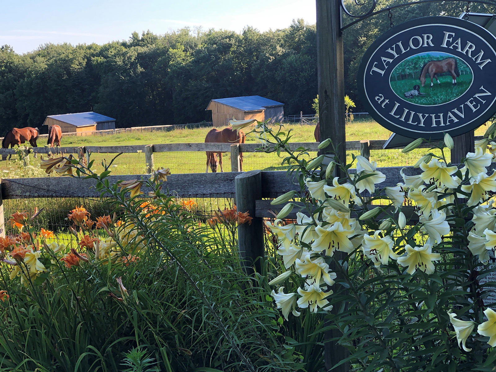 What To Do in New Hartford CT | Discover New Hartford CT