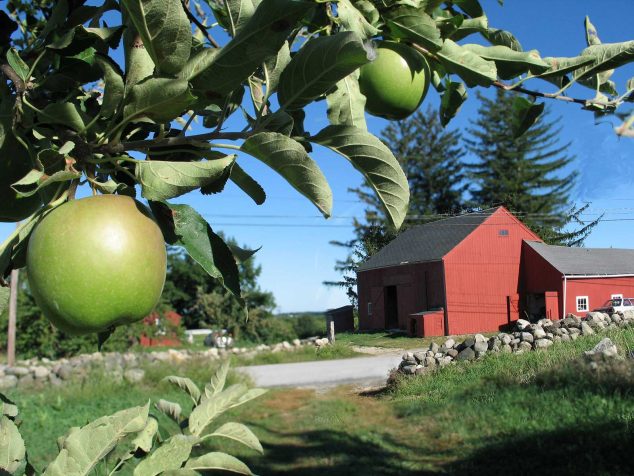 Hayward Farm | What To Do - Visit Local Farms | New Hartford, CT