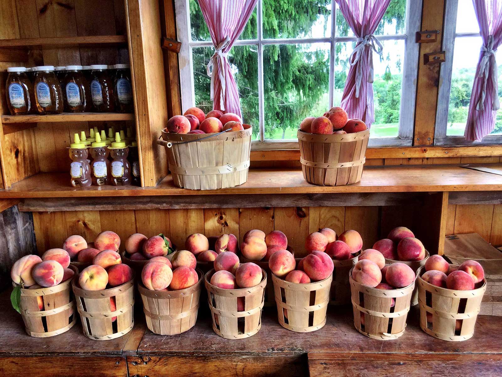 Hayward Farm | What To Do - Visit Local Farms | New Hartford, CT